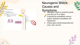 The Mechanism and Pathophysiology of Shock | PPTX