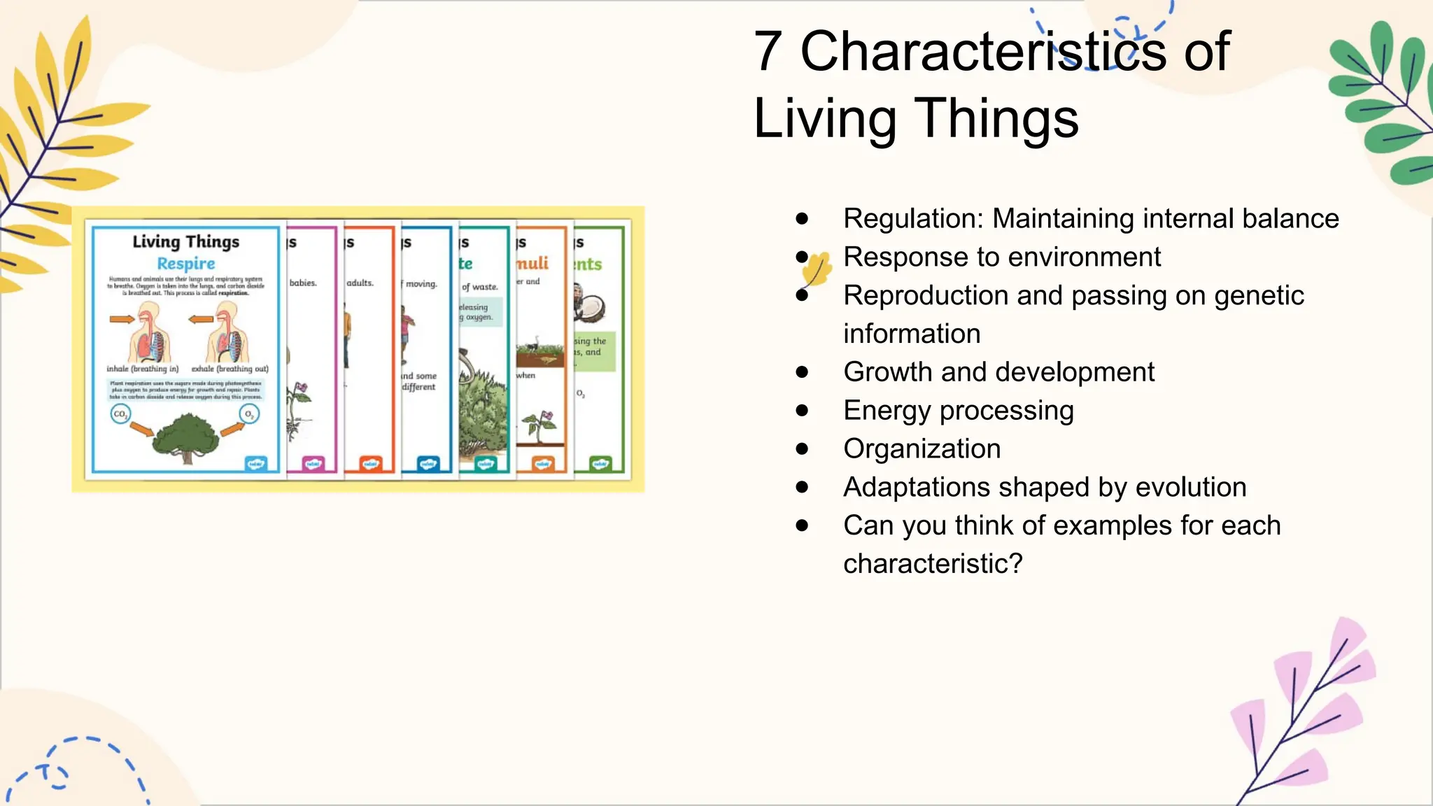 Presentation-university.pptx all about science | PPTX