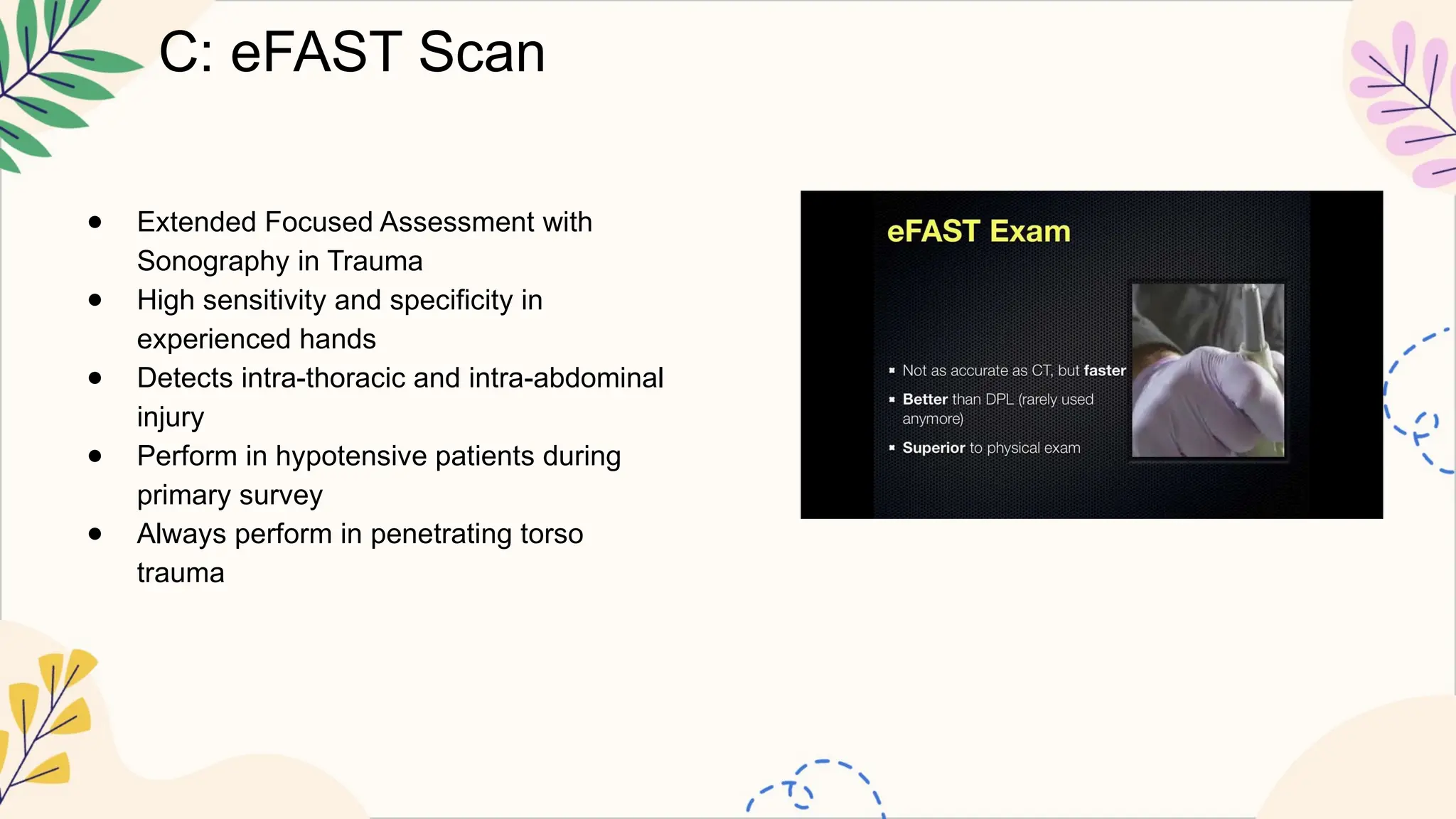 The Primary Survey In Trauma and Emergency Assessment | PPTX