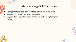 Presentation - university (4).pptx pembuluh | PPT