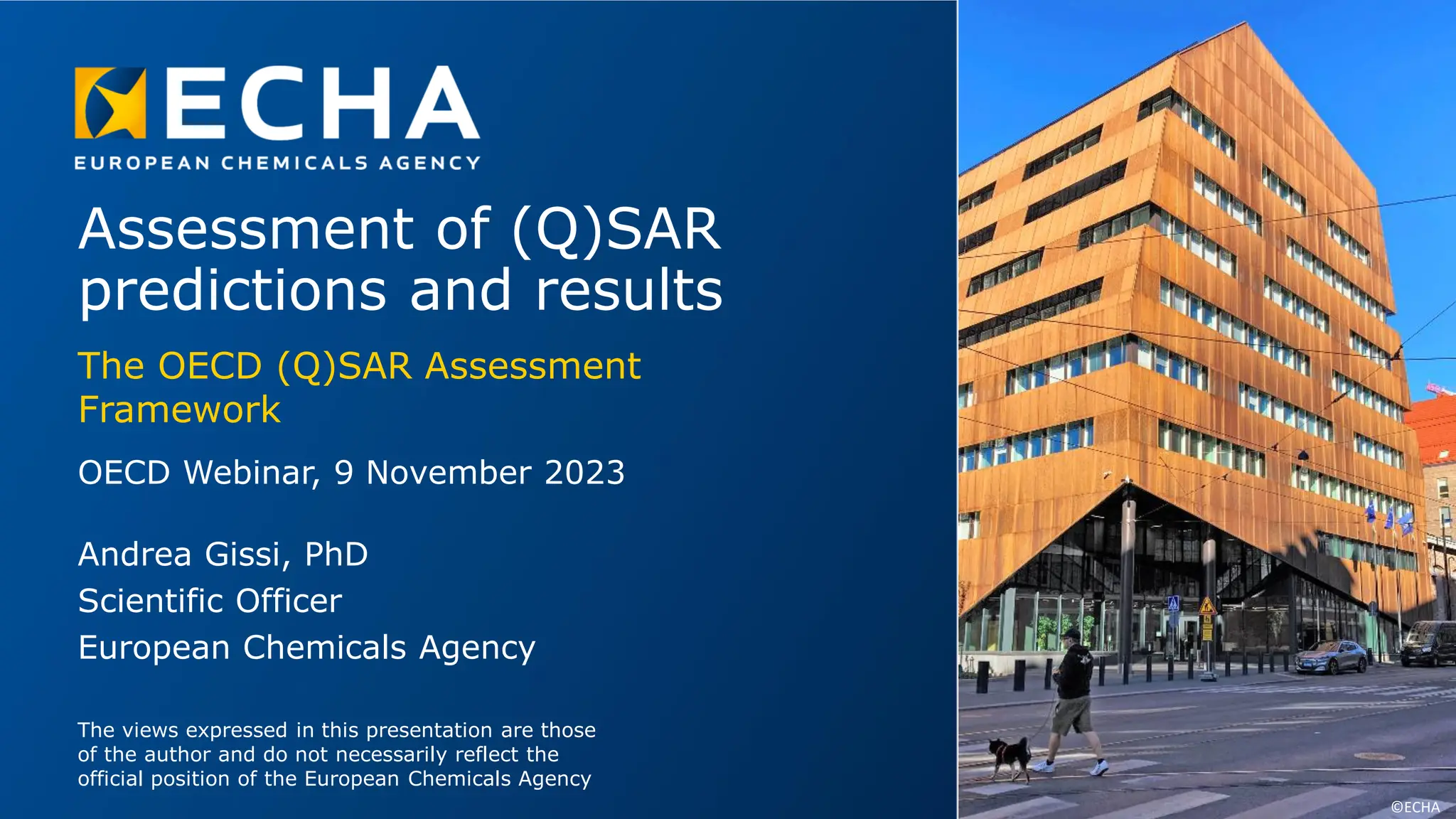 (Q)SAR Assessment Framework: Guidance for Assessing (Q)SAR Models and ...