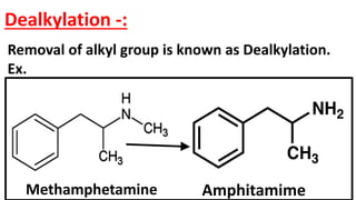 Metabolism of Drug | PPTX