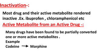 Metabolism of Drug | PPTX