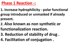 Metabolism of Drug | PPTX | Chemistry | Science