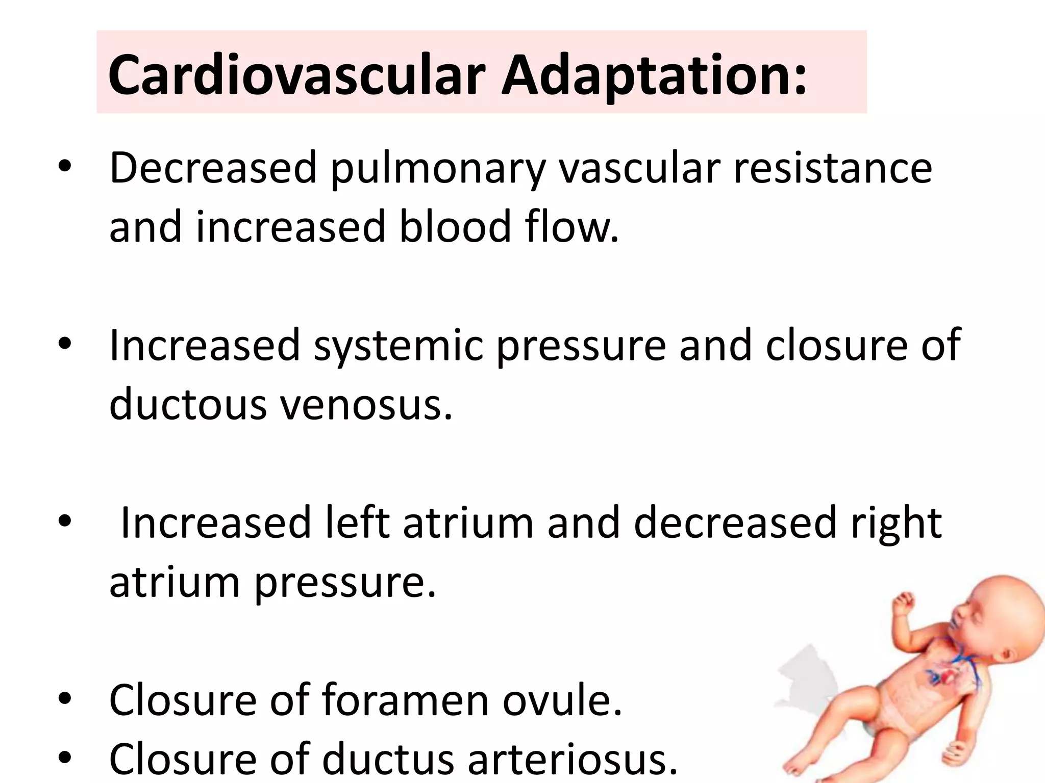 Normal Physiology of newborn | PPTX