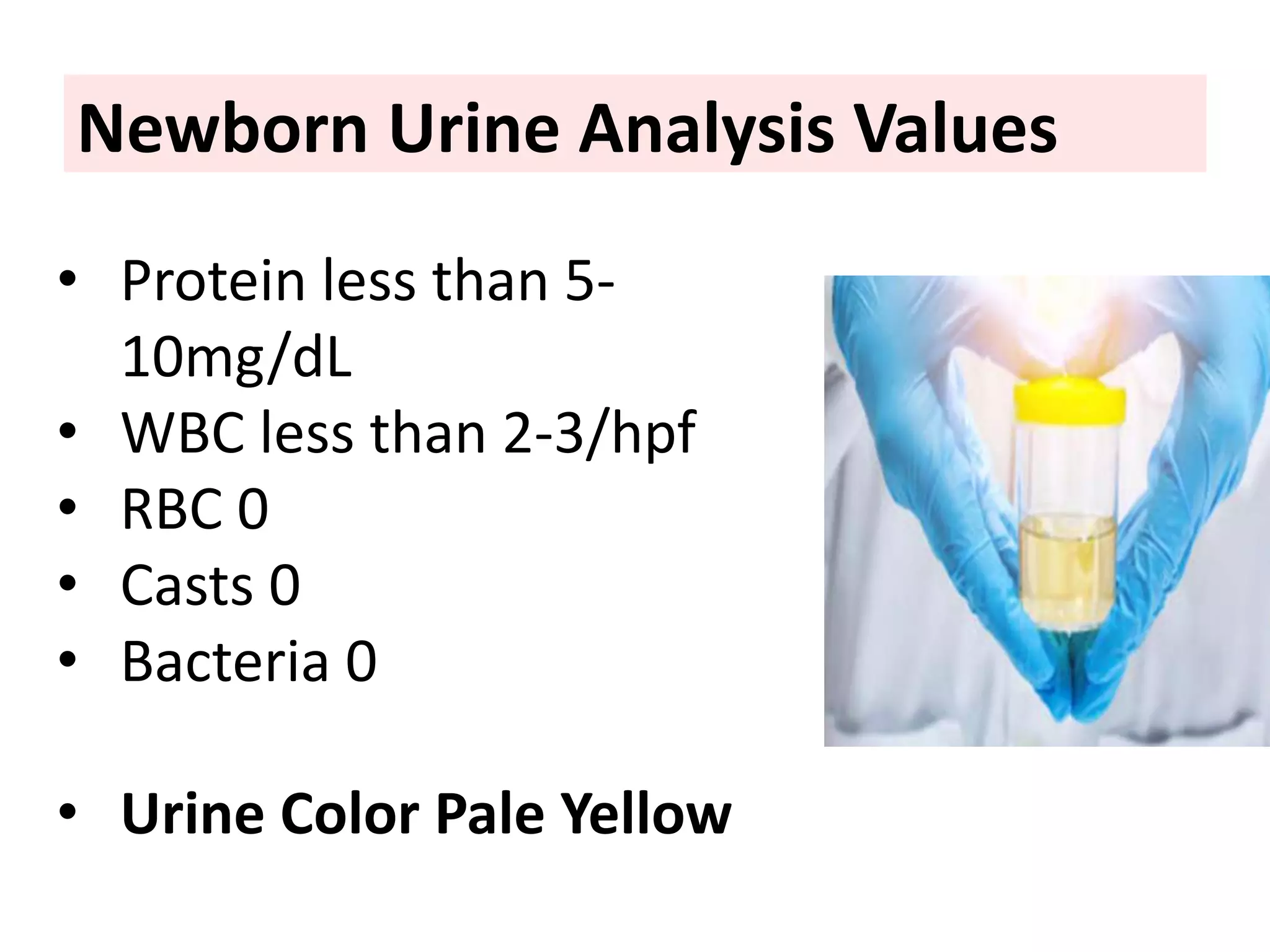 Normal Physiology of newborn | PPTX