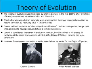 Presentation-WPS Office.pptx