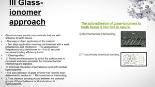 Presentation- yahia (1) adhesion in dentistry.pptx