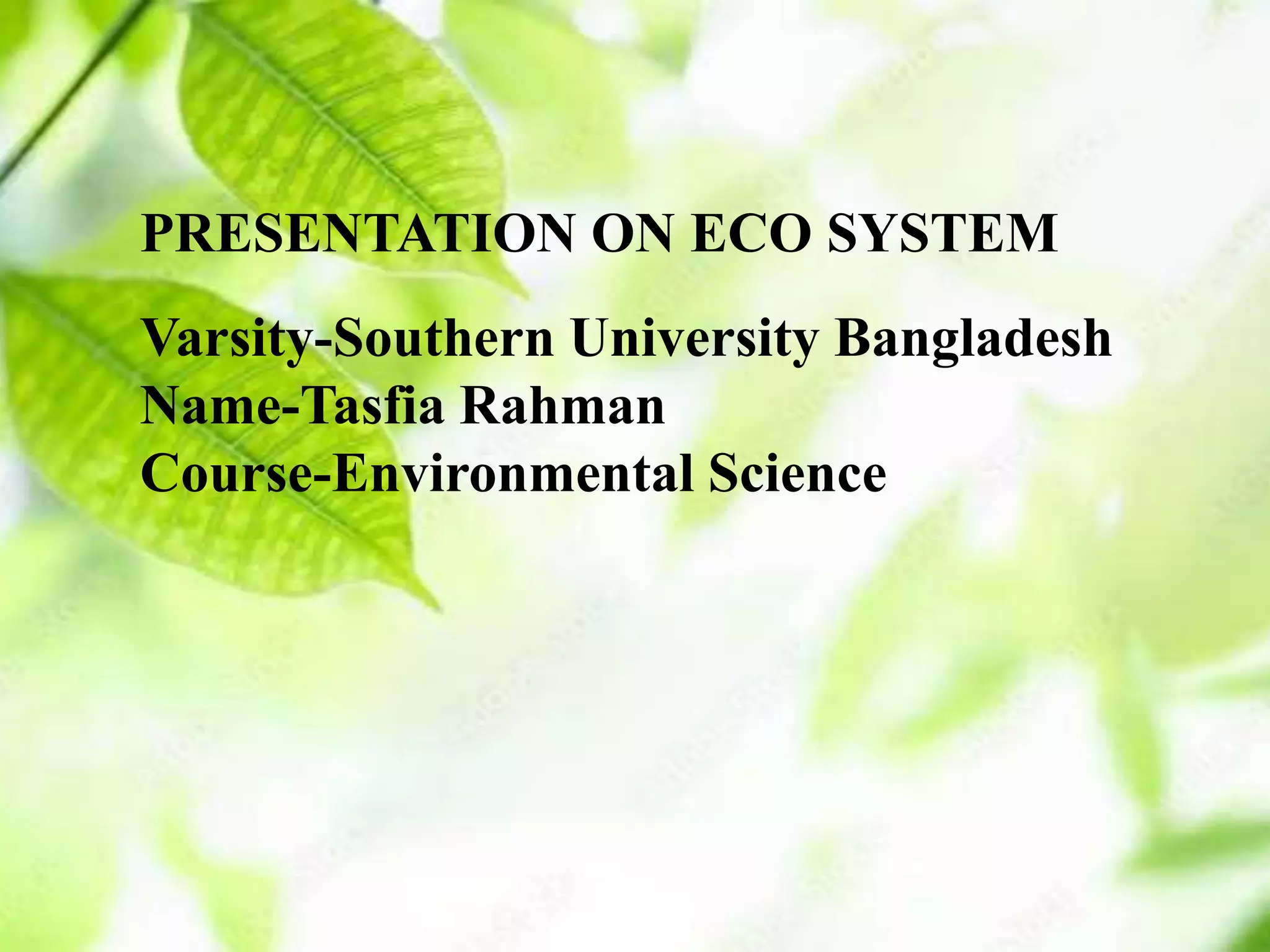 Presentation on ecosystem | PPTX | Geography | Science