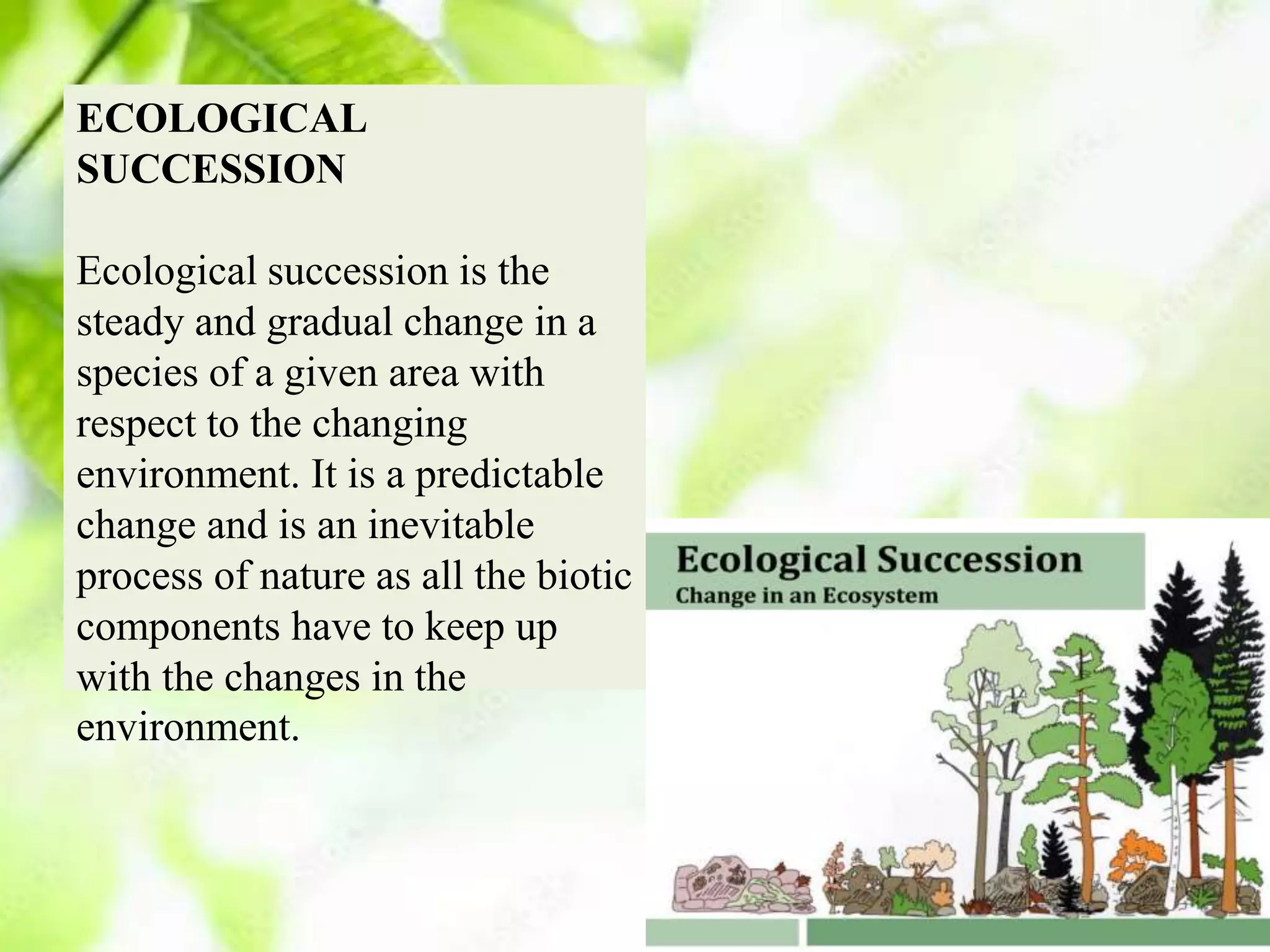Presentation on ecosystem | PPTX | Geography | Science