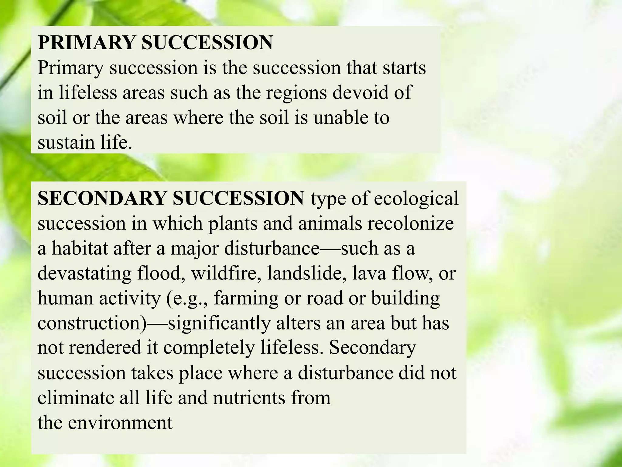Presentation on ecosystem | PPTX | Geography | Science