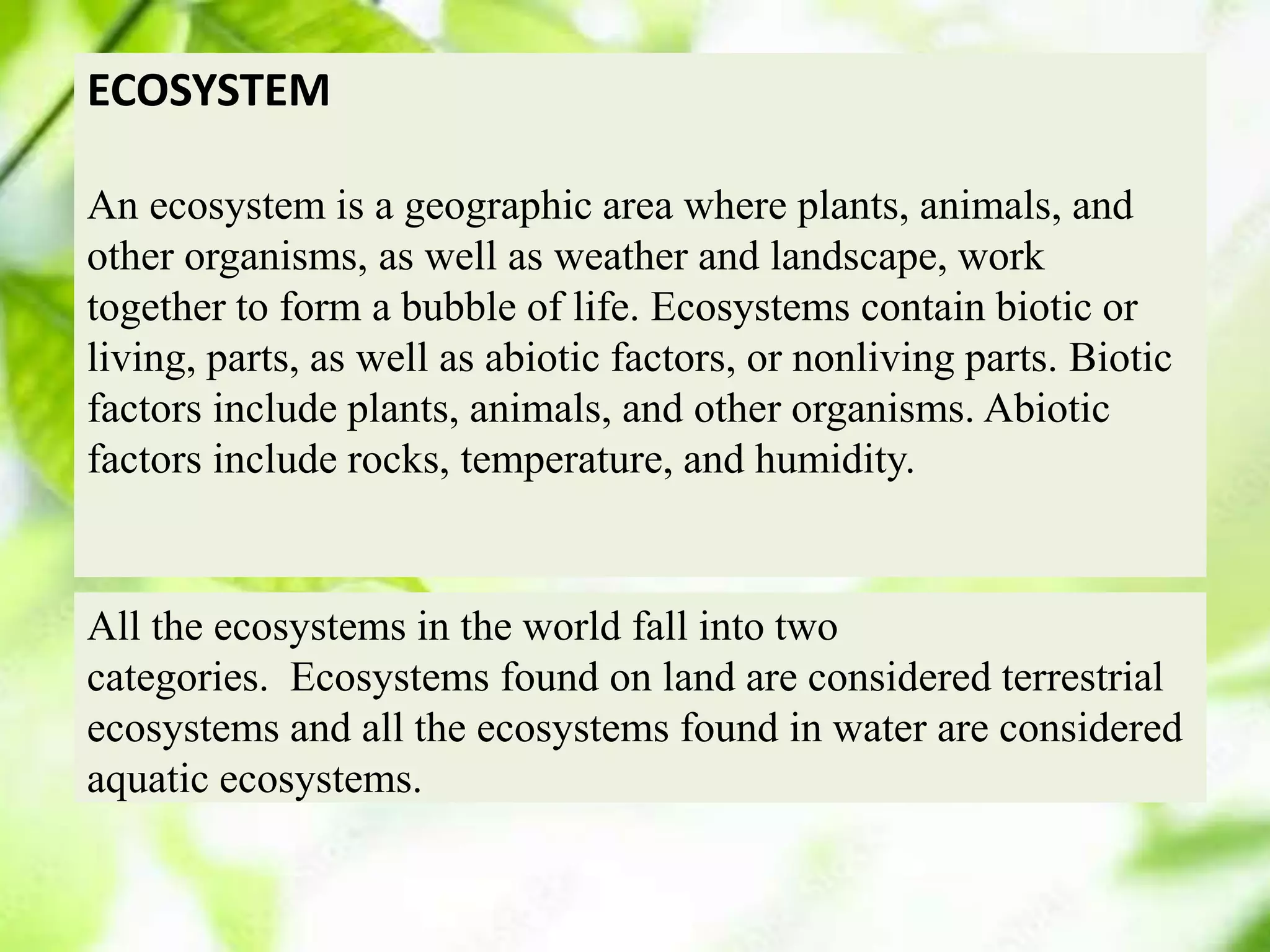 Presentation on ecosystem | PPTX | Geography | Science