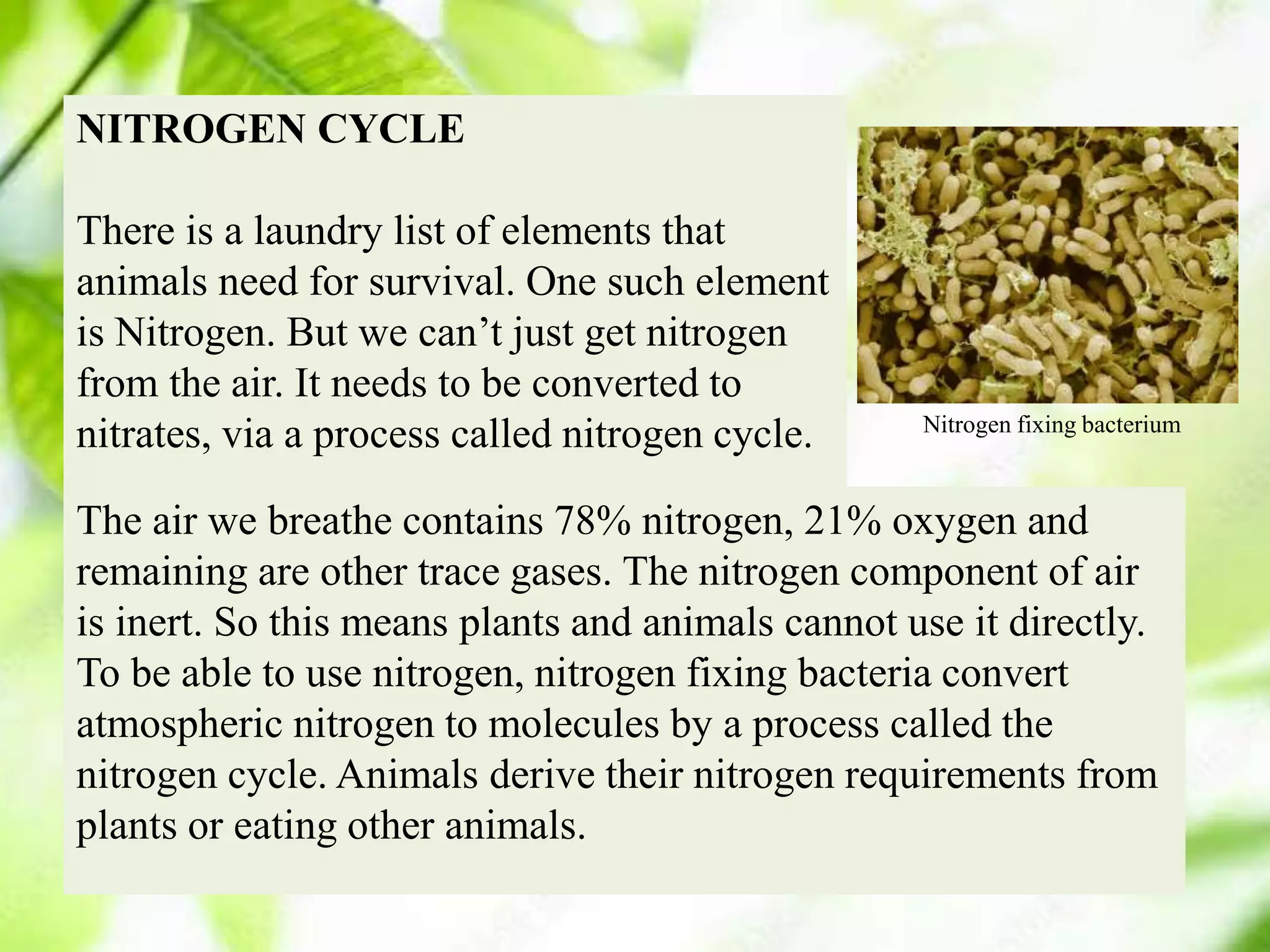 Presentation on ecosystem | PPTX | Geography | Science
