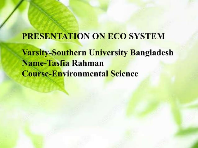 Presentation on ecosystem | PPTX | Geography | Science