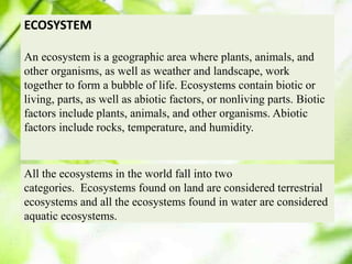 Presentation on ecosystem | PPTX | Geography | Science