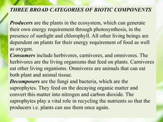 Presentation on ecosystem | PPTX | Geography | Science