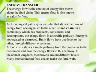 Presentation on ecosystem | PPTX | Geography | Science