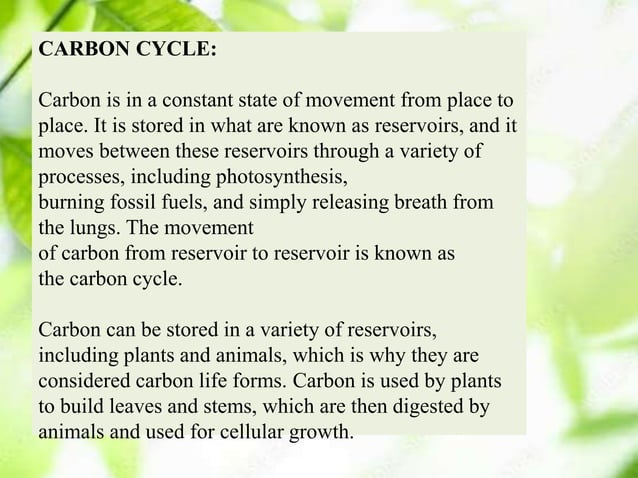 Presentation on ecosystem | PPTX | Geography | Science