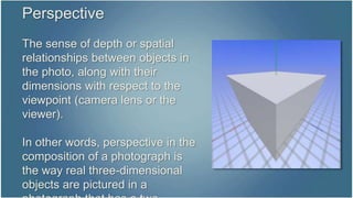 TMP100 U02: Perspective | PPTX | 3-D Graphics | Computer Software and Applications