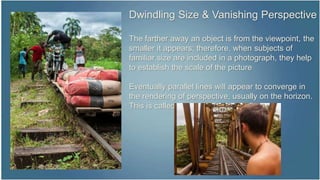 TMP100 U02: Perspective | PPTX | 3-D Graphics | Computer Software and Applications