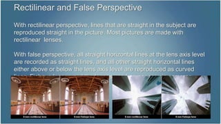 TMP100 U02: Perspective | PPTX | 3-D Graphics | Computer Software and Applications