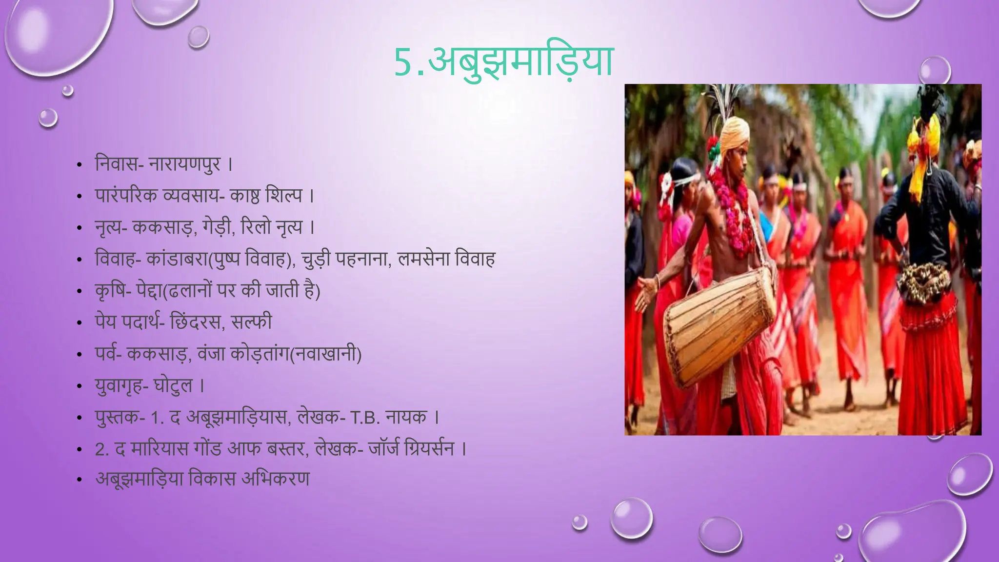 Chhattisgarh janjati Presentation01.pptx