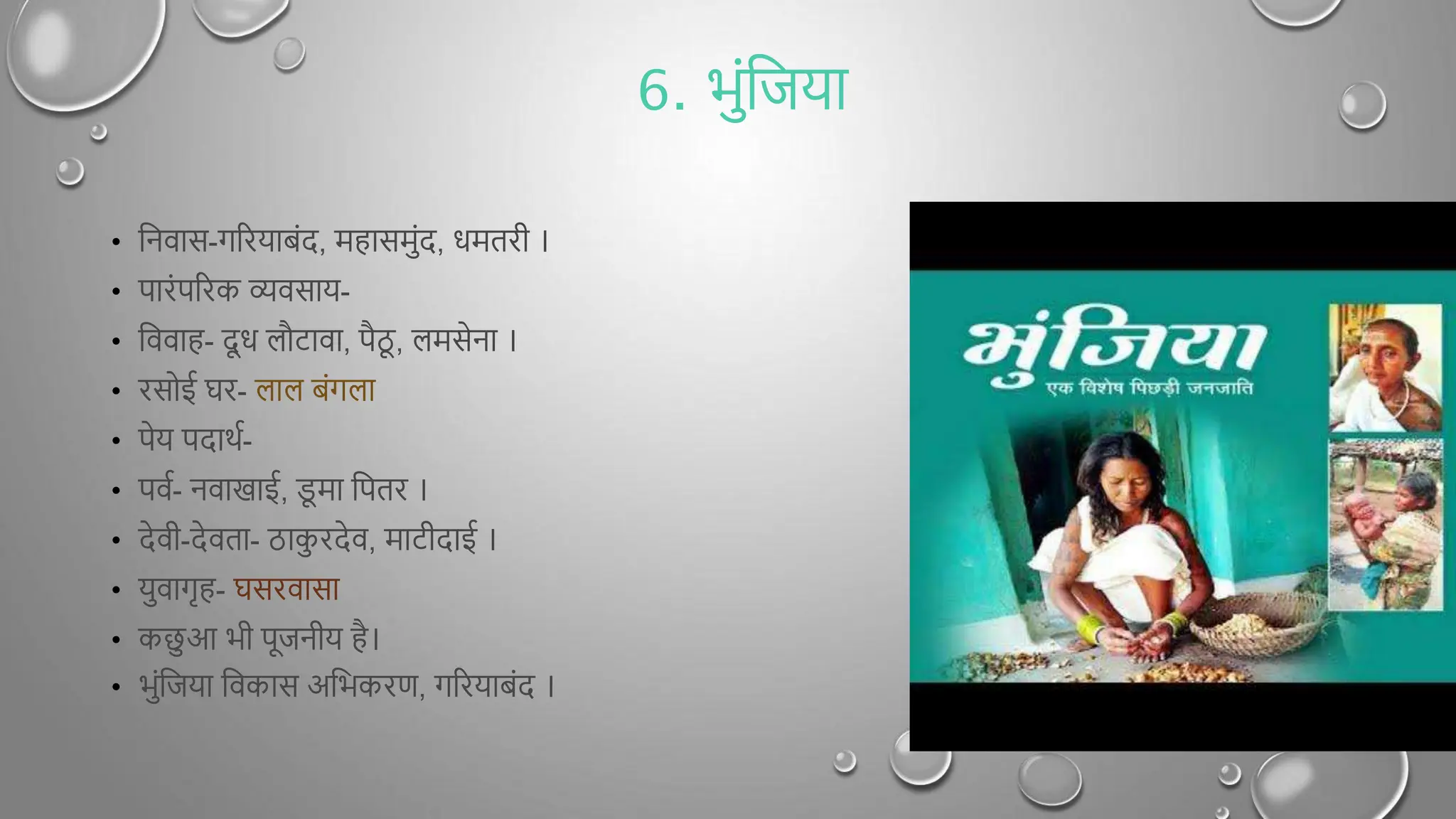 Chhattisgarh janjati Presentation01.pptx