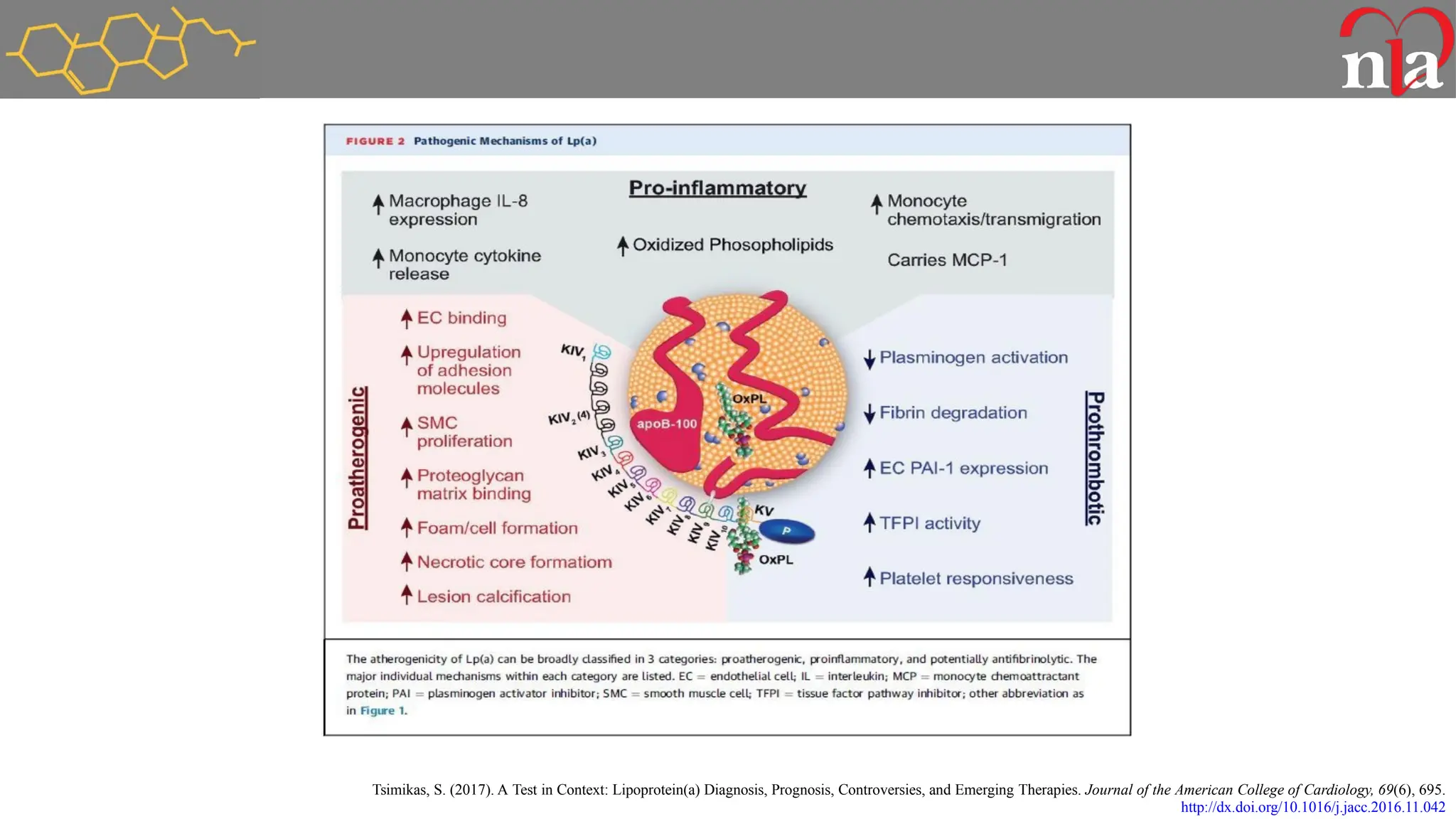 2021 CCS Guidelines for management of dyslipidemia. A simplified ...