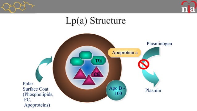2021 CCS Guidelines for management of dyslipidemia. A simplified ...