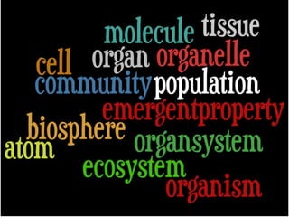 Presentation01 - Hierarchy Of Biological Organization | PPT