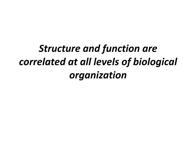 Presentation01 - Hierarchy Of Biological Organization | PPT