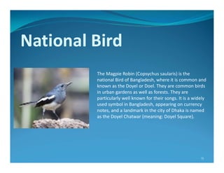 Presentation on some national G.K of bd by MARUF TUSAR | PDF