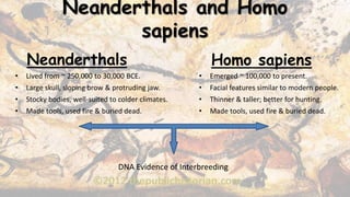 WOH2012_Presentation 01 first_humans-copy3 | PPTX