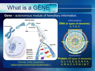 Artificial gene synthesis | PPTX