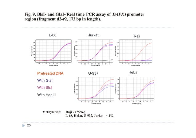 Семинар ДНК 16/05/2014 Сибэнзим | PDF | Endocrine and Metabolic Diseases | Diseases and Conditions