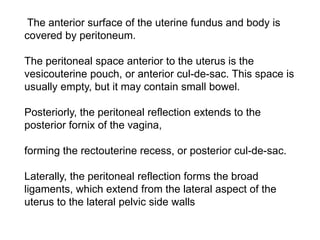 ANATOMY OF FEMALE REPRODUCTIVE TRACT ON USG | PPTX