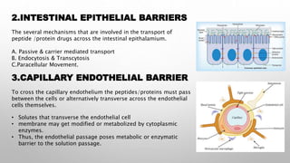 Barriers in protein and peptide drug delivery in pharmaceutics | PPTX