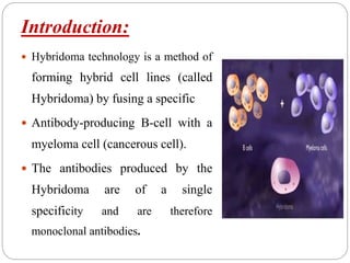 Presentation 0 n hybridoma technology | PPT