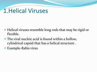 Presentation virus (09 12-2014) | PPTX