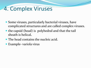 Presentation virus (09 12-2014) | PPTX