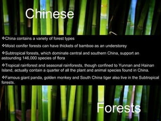 Geography of China | PPT