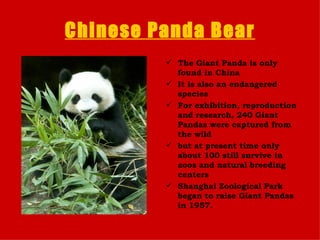 Geography of China | PPT