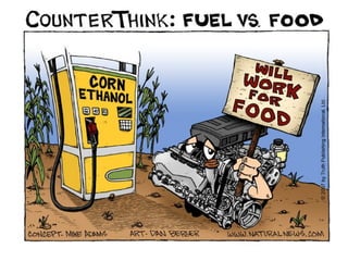 Food vs Fuel | PPT