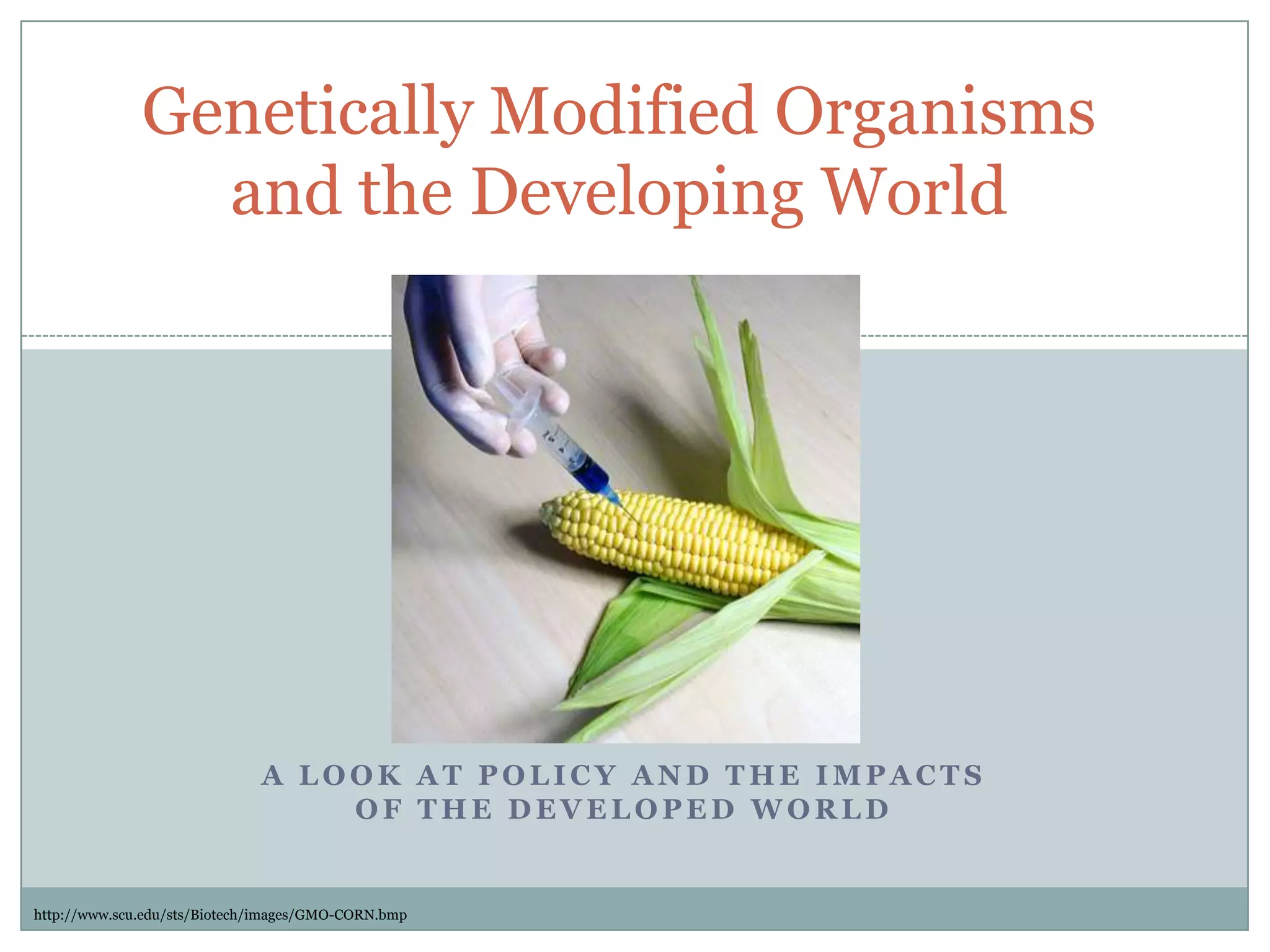 GMOs in developing countries | PPT