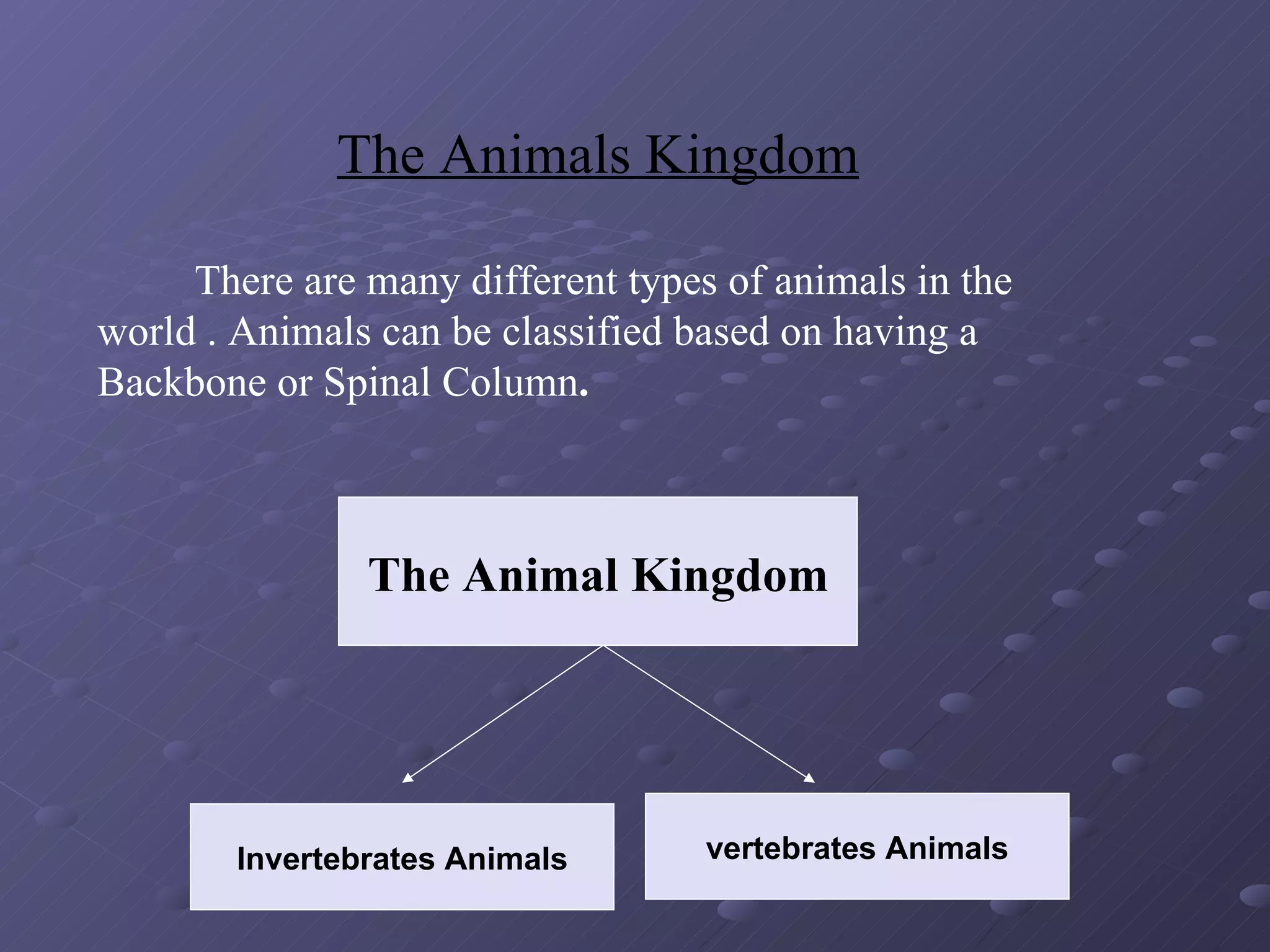 animalskingdom | PPT
