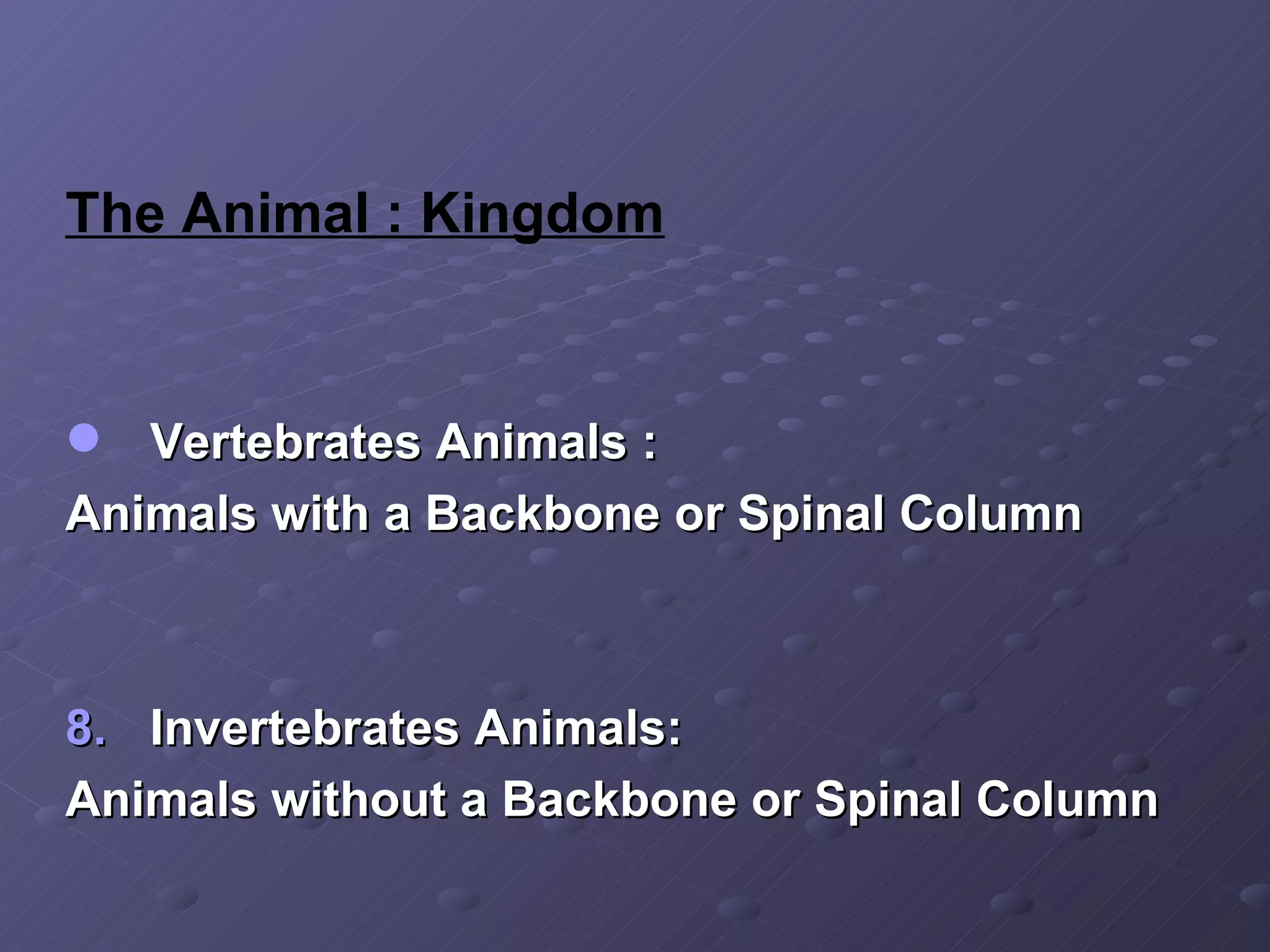 animalskingdom | PPT