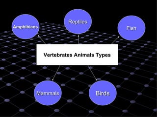 animalskingdom | PPT | Reptiles | Pets