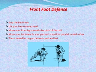 cricket (loyola) nks | PPT