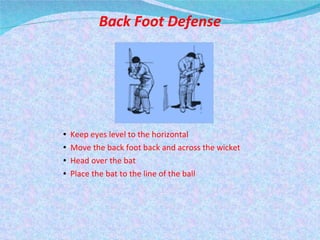 cricket (loyola) nks | PPT