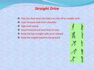 cricket (loyola) nks | PPT